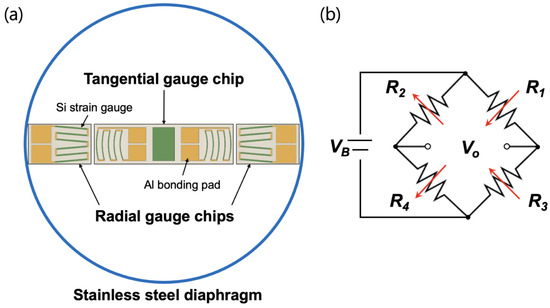 Reciprocating Arc Silicon Strain Gauges