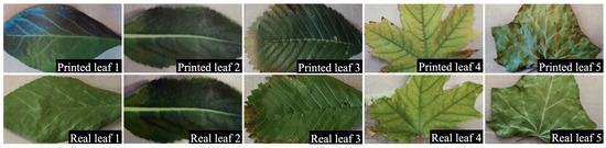 Active and Low-Cost Hyperspectral Imaging for the Spectral Analysis of ...