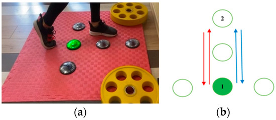 Timing in Lower Limb Complex Movement Tests for DanceSport Athletes ...