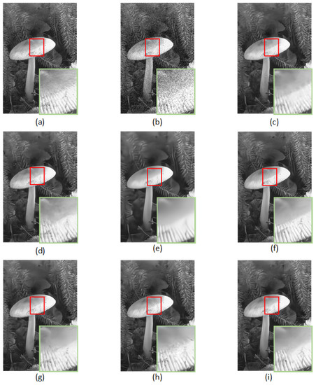 Sensors | Free Full-Text | RDASNet: Image Denoising via a Residual ...