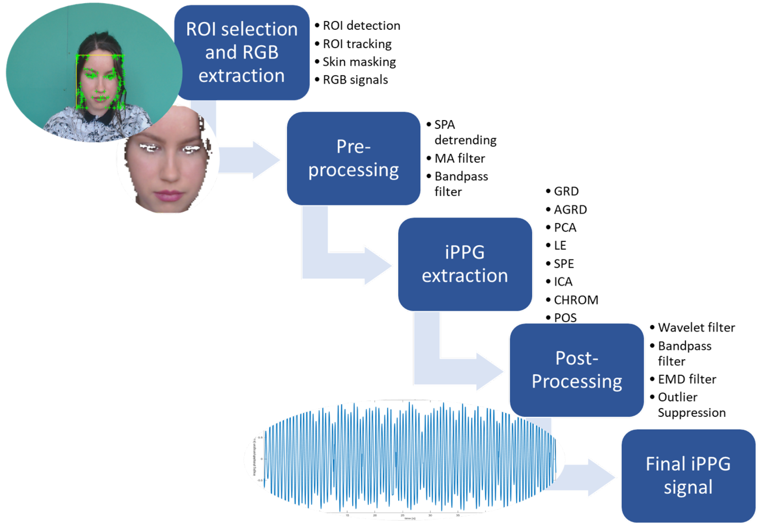 Sensors | Free Full-Text | Contactless Cardiovascular Assessment by ...
