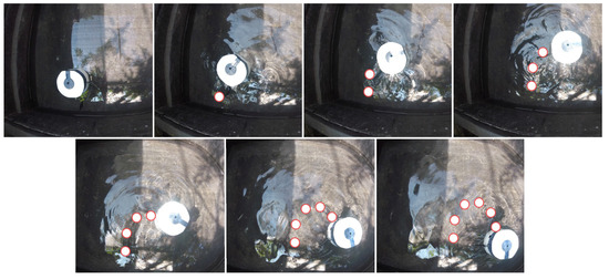 Altering Fish Behavior by Sensing Swarm Patterns of Fish in an ...