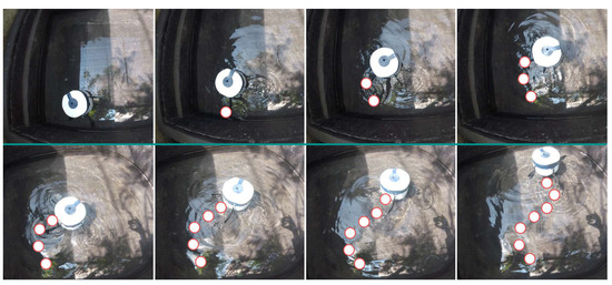 Altering Fish Behavior by Sensing Swarm Patterns of Fish in an ...