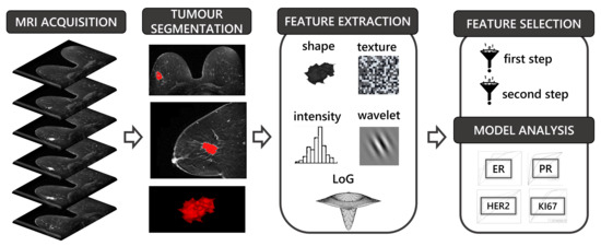 Sensors | Free Full-Text | A Two-Step Feature Selection Radiomic ...