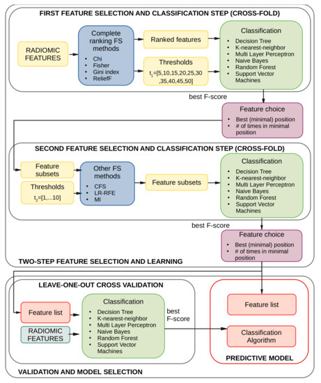 A Two-Step Feature Selection Radiomic Approach to Predict Molecular ...
