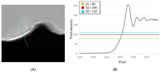 Design and Metrological Analysis of a Backlit Vision System for Surface ...