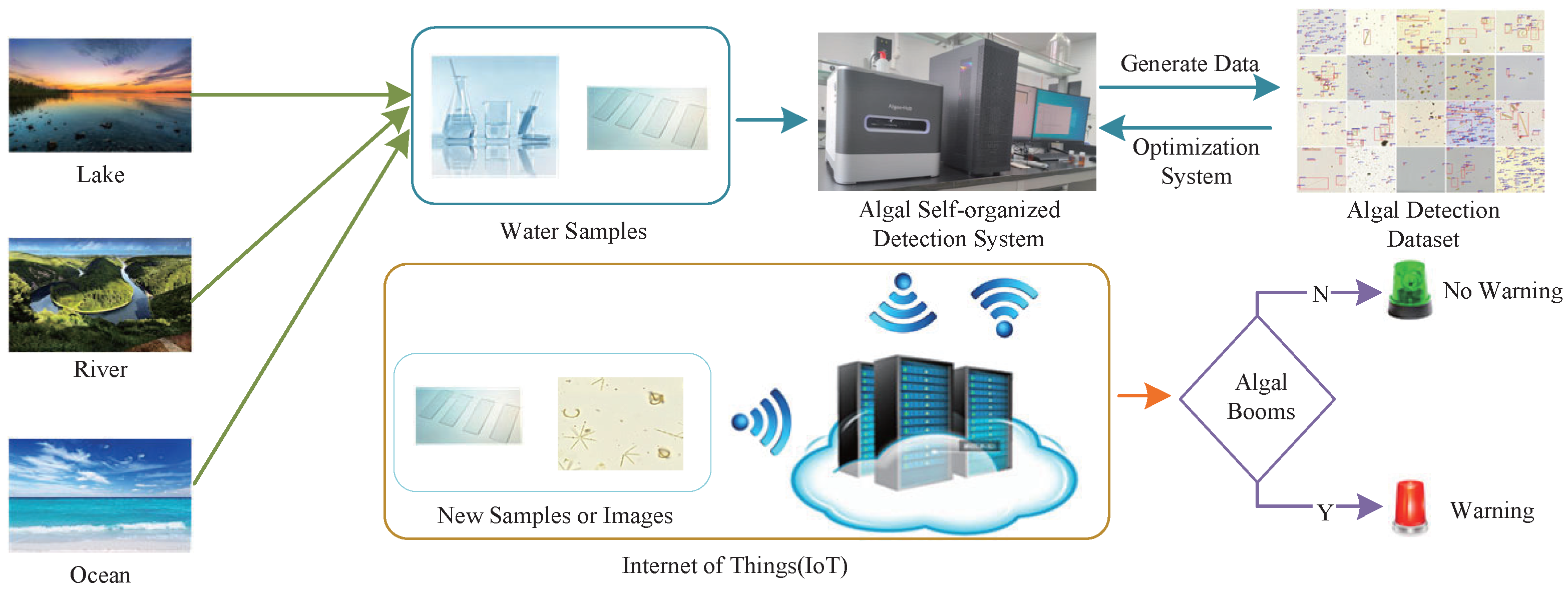 An Efficient Self-Organized Detection System for Algae