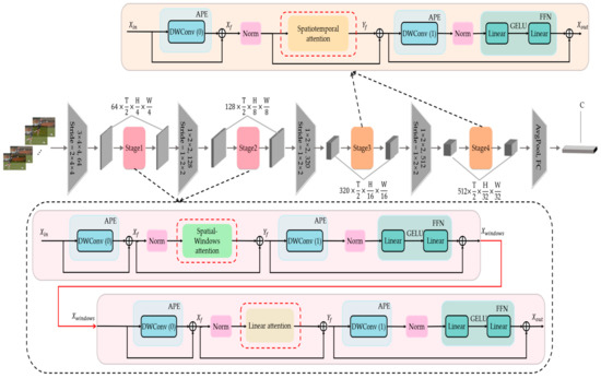WLiT: Windows and Linear Transformer for Video Action Recognition