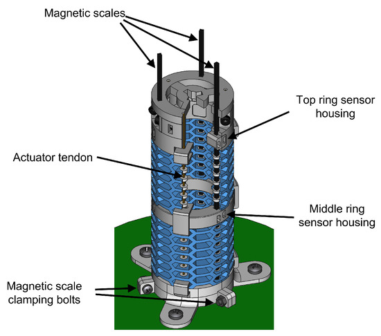 Sensors | Free Full-Text | End-Point Position Estimation of a Soft ...