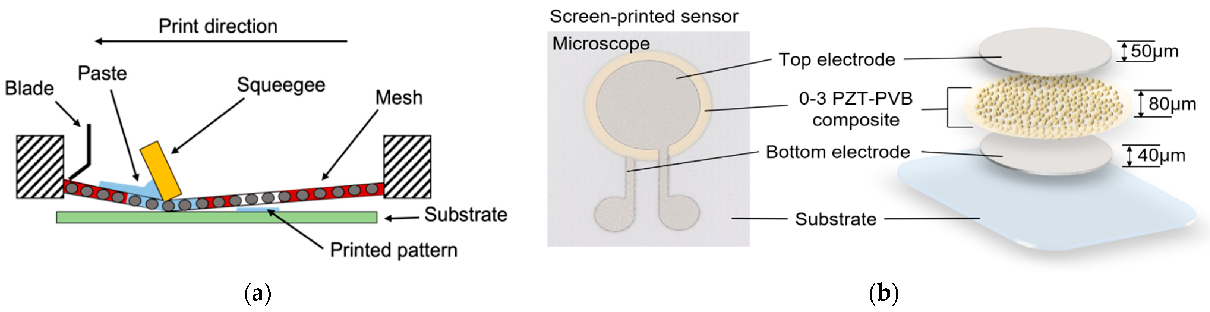The 0-3 Lead Zirconate-Titanate (PZT)/Polyvinyl-Butyral (PVB) Composite ...