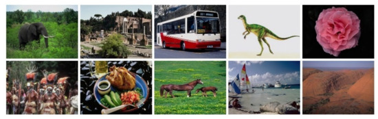 Sensors | Free Full-Text | Hybrid Bag-of-Visual-Words and FeatureWiz ...