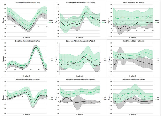 Validity and Reliability of Inertial Measurement Unit (IMU)-Derived 3D ...
