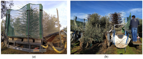 Assessment of a Side-Row Continuous Canopy Shaking Harvester and Its ...