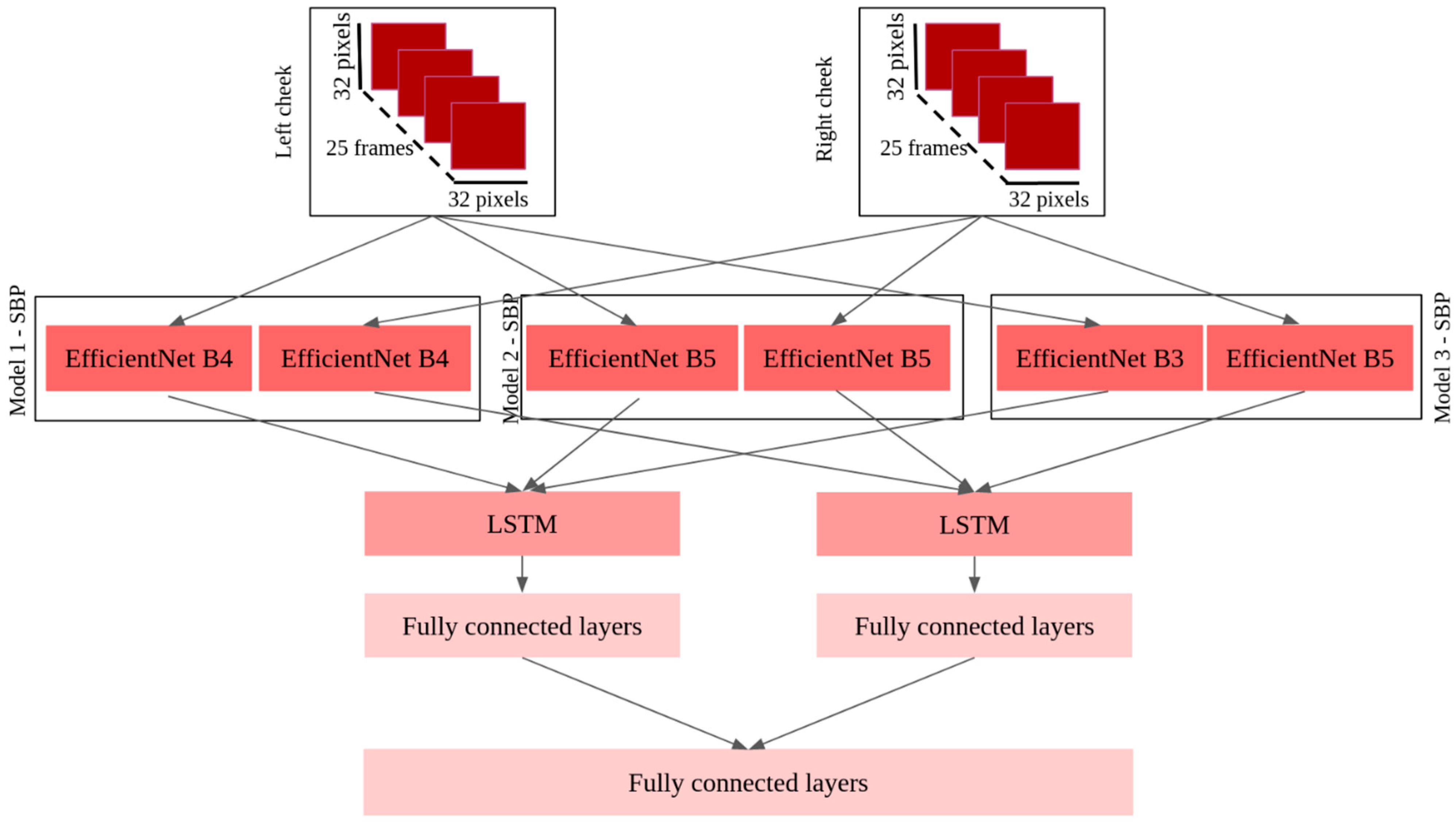 Neural Network Model Combination for Video-Based Blood Pressure ...
