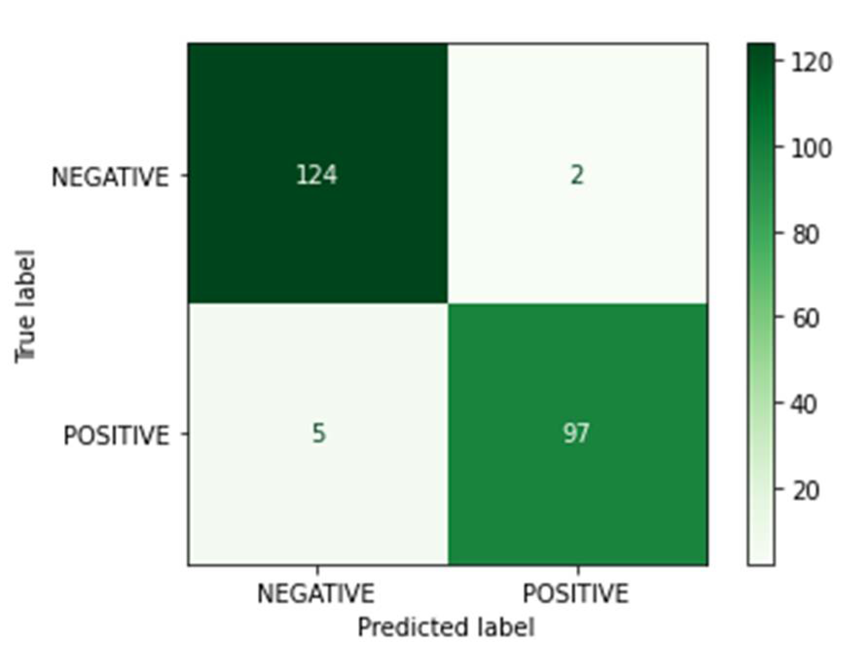 Monkeypox Detection Using CNN with Transfer Learning