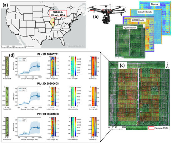 UAV Multisensory Data Fusion and Multi-Task Deep Learning for High-Throughput Maize Phenotyping