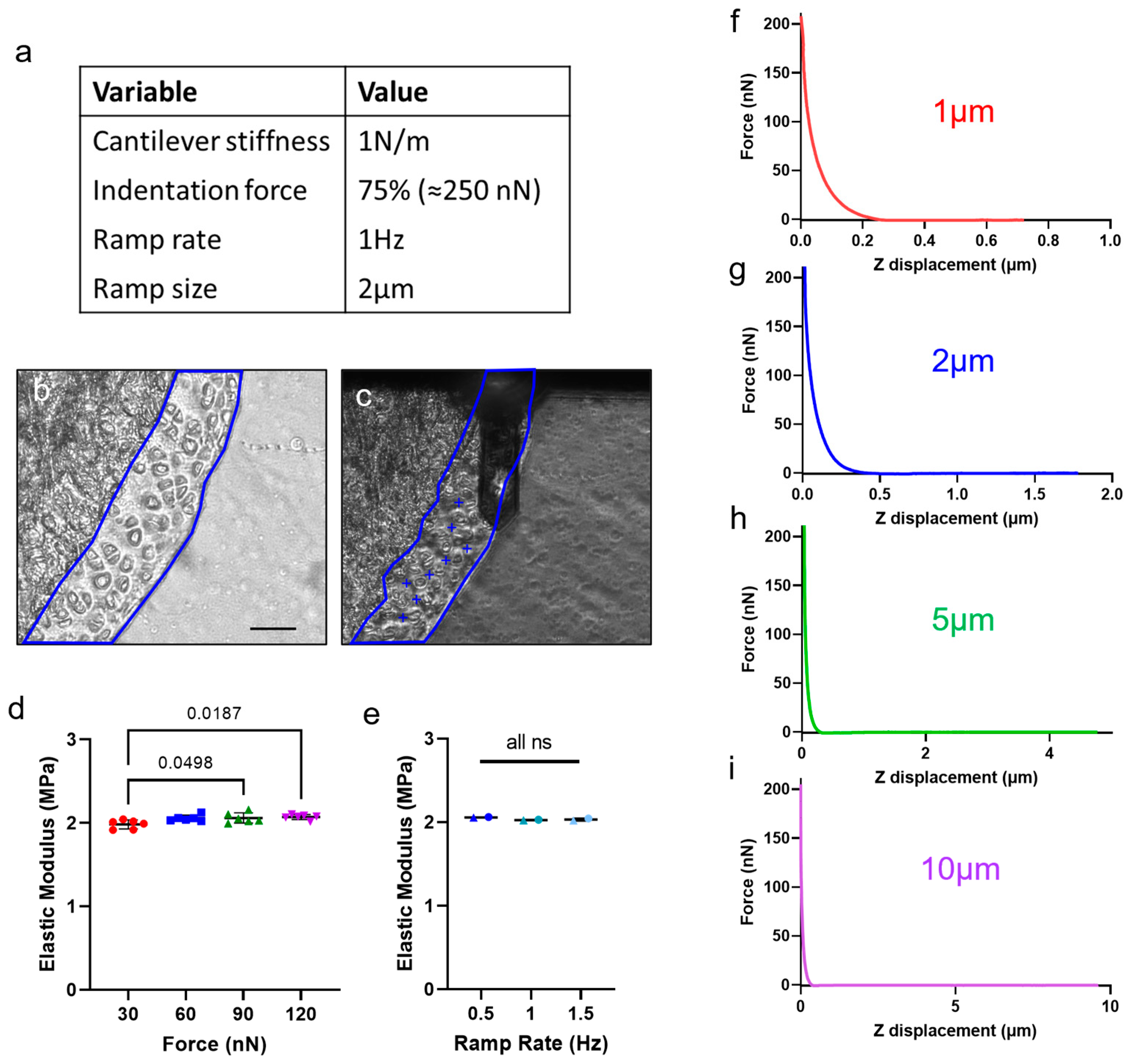 Atomic Force Microscopy Micro-Indentation Methods for Determining the ...