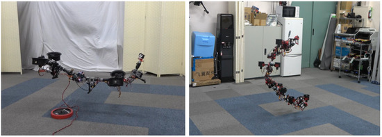 Generalized Design, Modeling and Control Methodology for a Snake-like ...