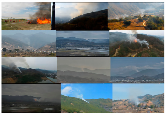 Real-Time Forest Fire Detection by Ensemble Lightweight YOLOX-L and ...