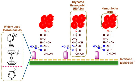 Trends in Quantification of HbA1c Using Electrochemical and Point-of ...