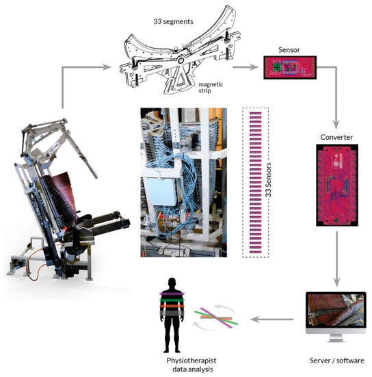 Mobility Analysis of the Lumbar Spine with a Dynamic Spine-Correction ...