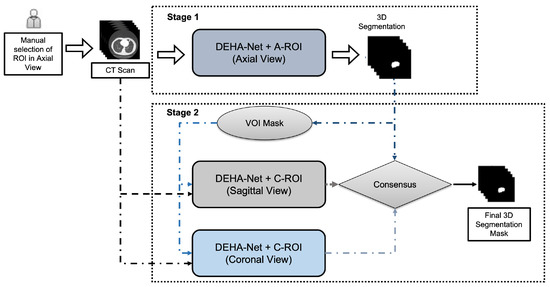 DEHA-Net: A Dual-Encoder-Based Hard Attention Network with an Adaptive ROI Mechanism for Lung ...