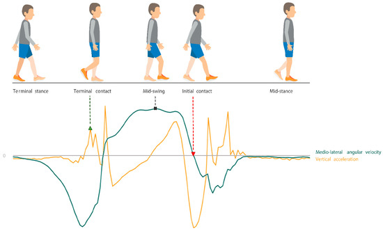 The Influence of Stride Selection on Gait Parameters Collected with ...