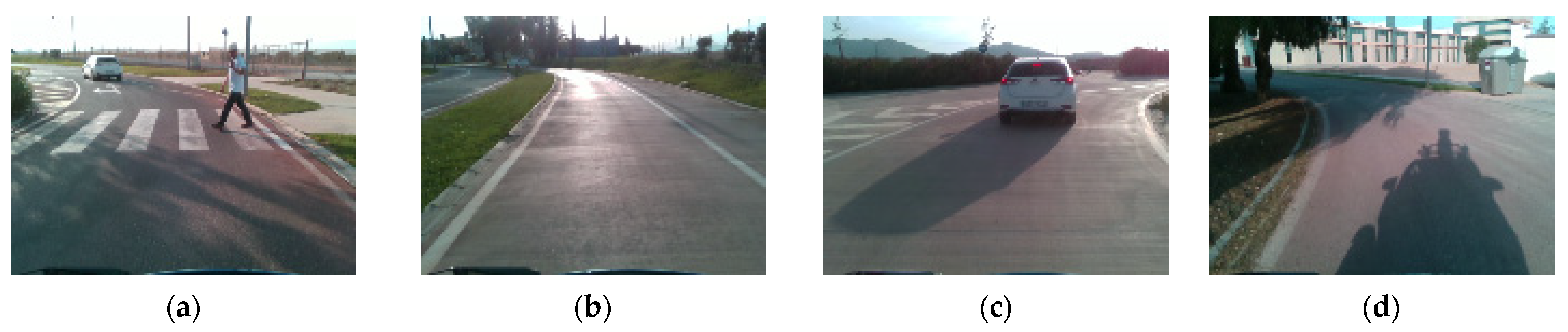 Autonomous Vehicle Dataset with Real Multi-Driver Scenes and Biometric Data