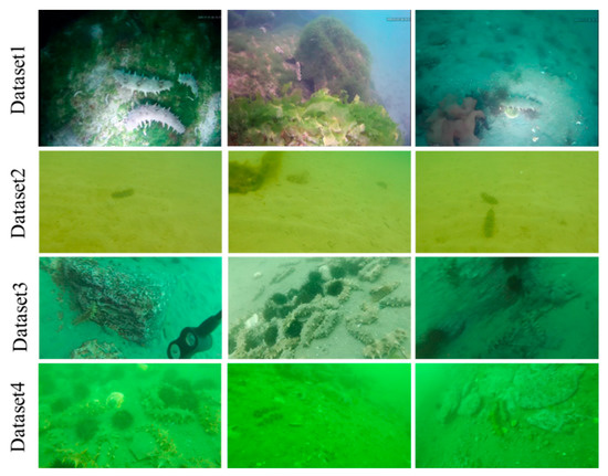 In Situ Sea Cucumber Detection across Multiple Underwater Scenes Based on Convolutional Neural ...