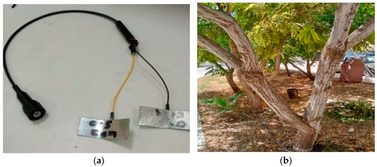 Moisture Detection in Tree Trunks in Semiarid Lands Using Low-Cost Non ...
