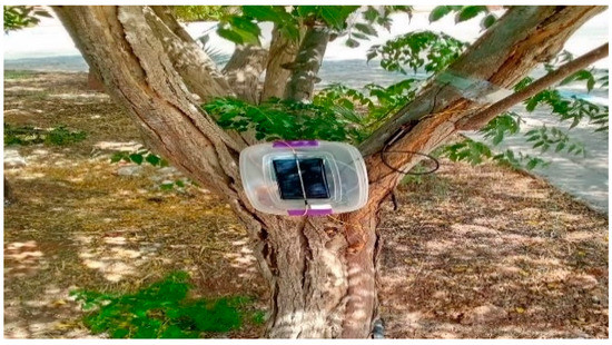 Moisture Detection in Tree Trunks in Semiarid Lands Using Low-Cost Non ...