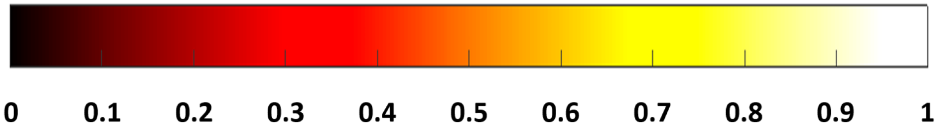Light Field View Synthesis Using the Focal Stack and All-in-Focus Image