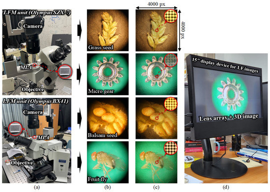 High-Quality 3D Visualization System for Light-Field Microscopy with ...