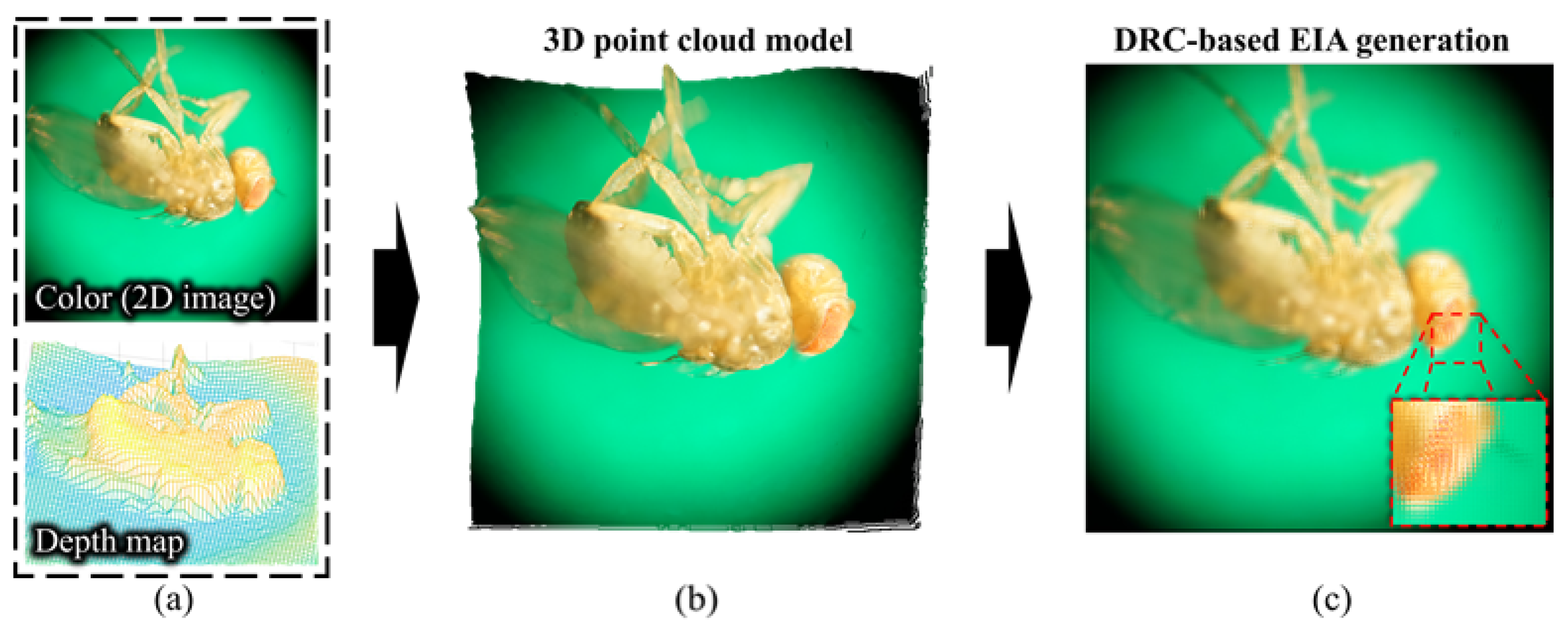 High-Quality 3D Visualization System for Light-Field Microscopy with ...