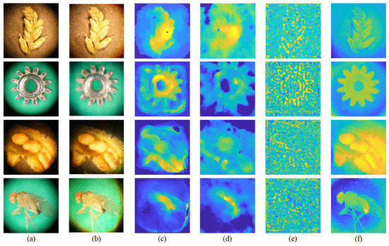 High-Quality 3D Visualization System for Light-Field Microscopy with ...