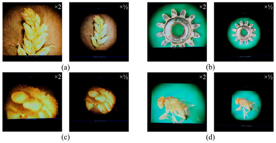 High-Quality 3D Visualization System for Light-Field Microscopy with ...