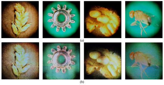 High-Quality 3D Visualization System for Light-Field Microscopy with ...