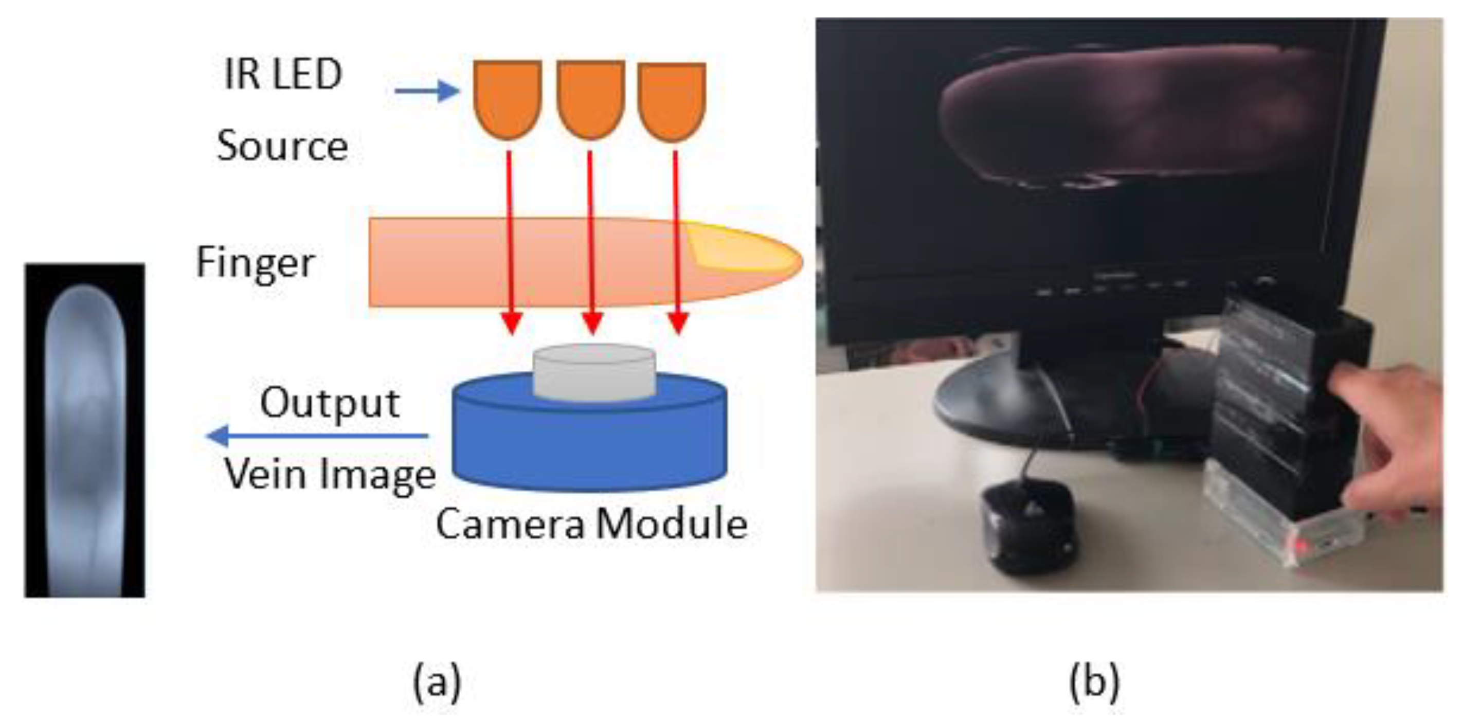 Design of Low-Complexity Convolutional Neural Network Accelerator for Finger Vein Identification ...