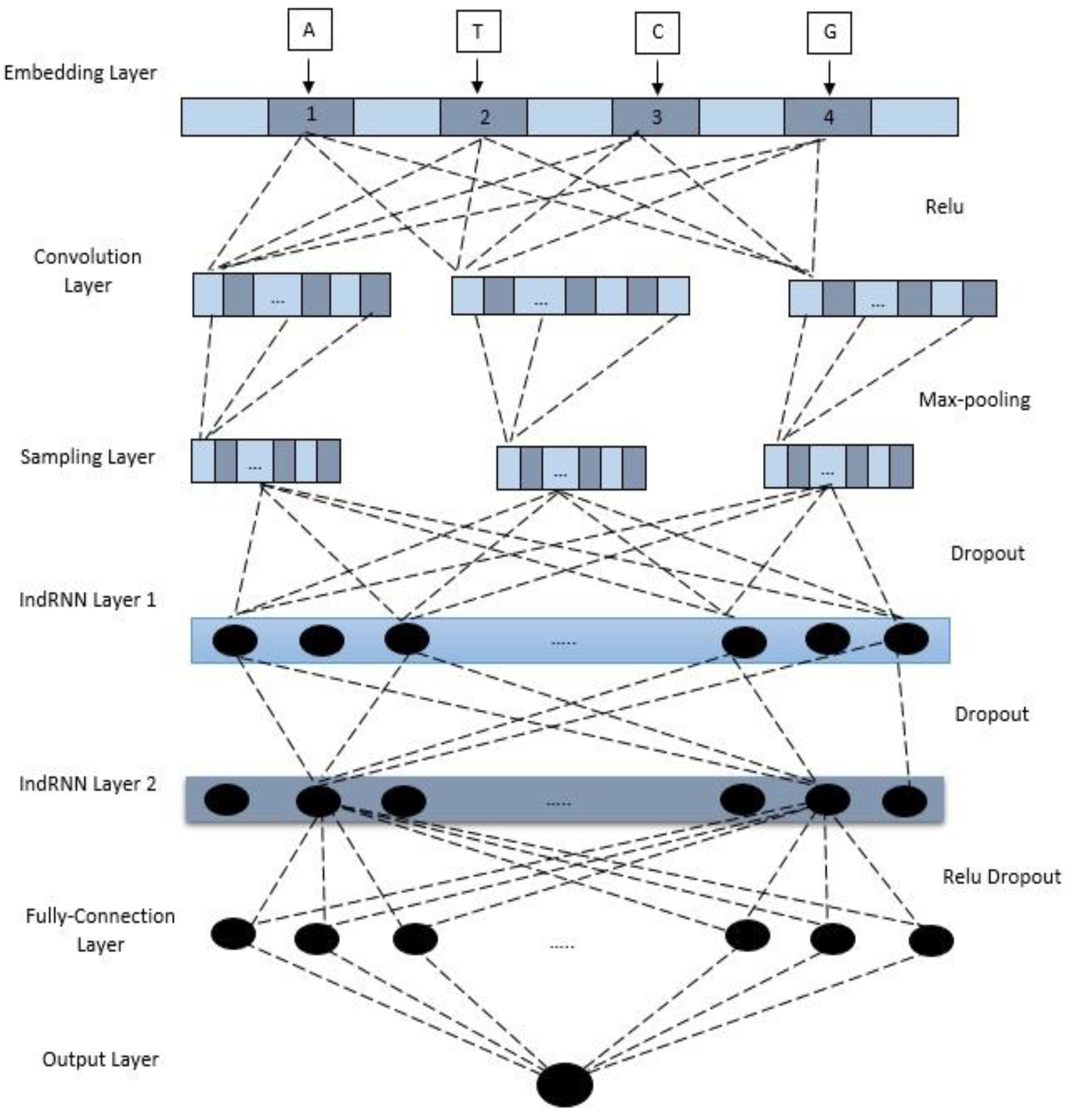 An Optimized Ensemble Deep Learning Model for Predicting Plant miRNA–IncRNA Based on Artificial ...