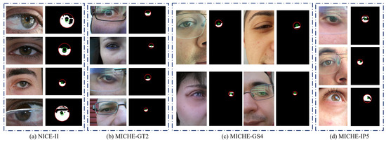 Double-Center-Based Iris Localization and Segmentation in Cooperative ...