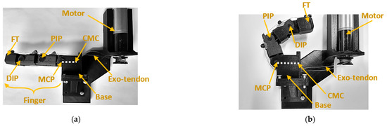 Biomimetic Tendon-Based Mechanism for Finger Flexion and Extension in a ...