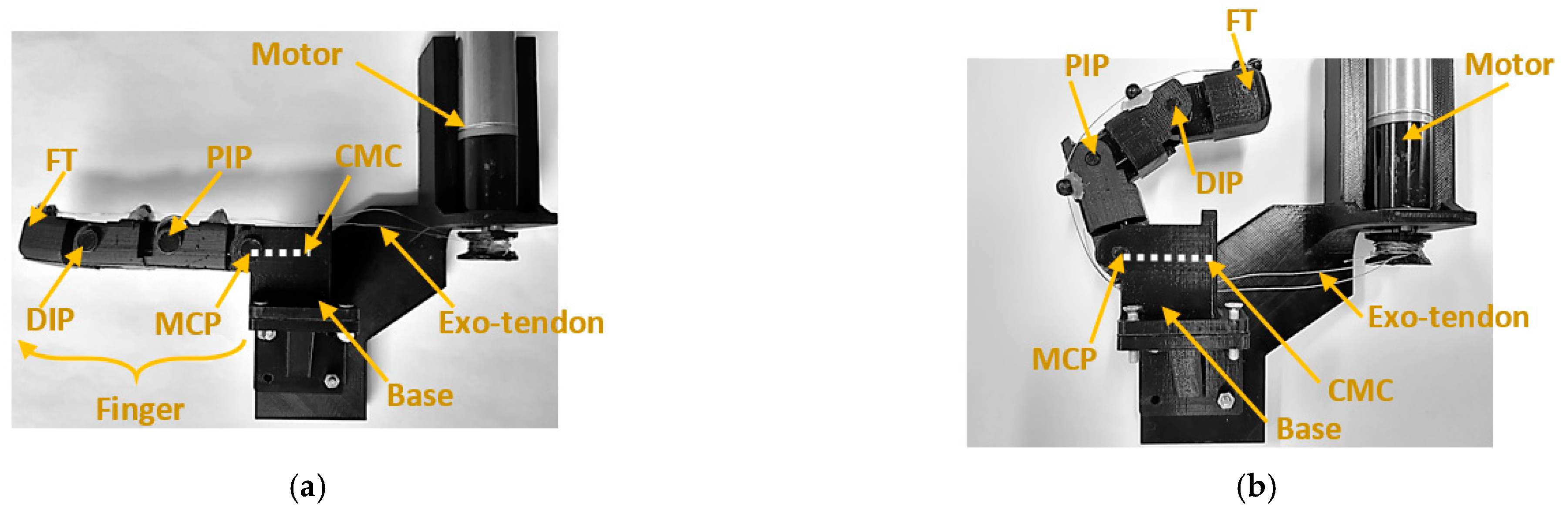 Sensors | Free Full-Text | Biomimetic Tendon-Based Mechanism for Finger ...