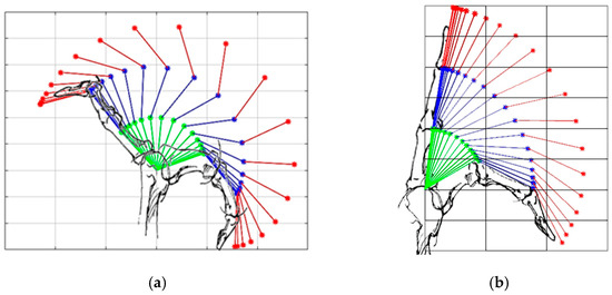 Biomimetic Tendon-Based Mechanism for Finger Flexion and Extension in a ...