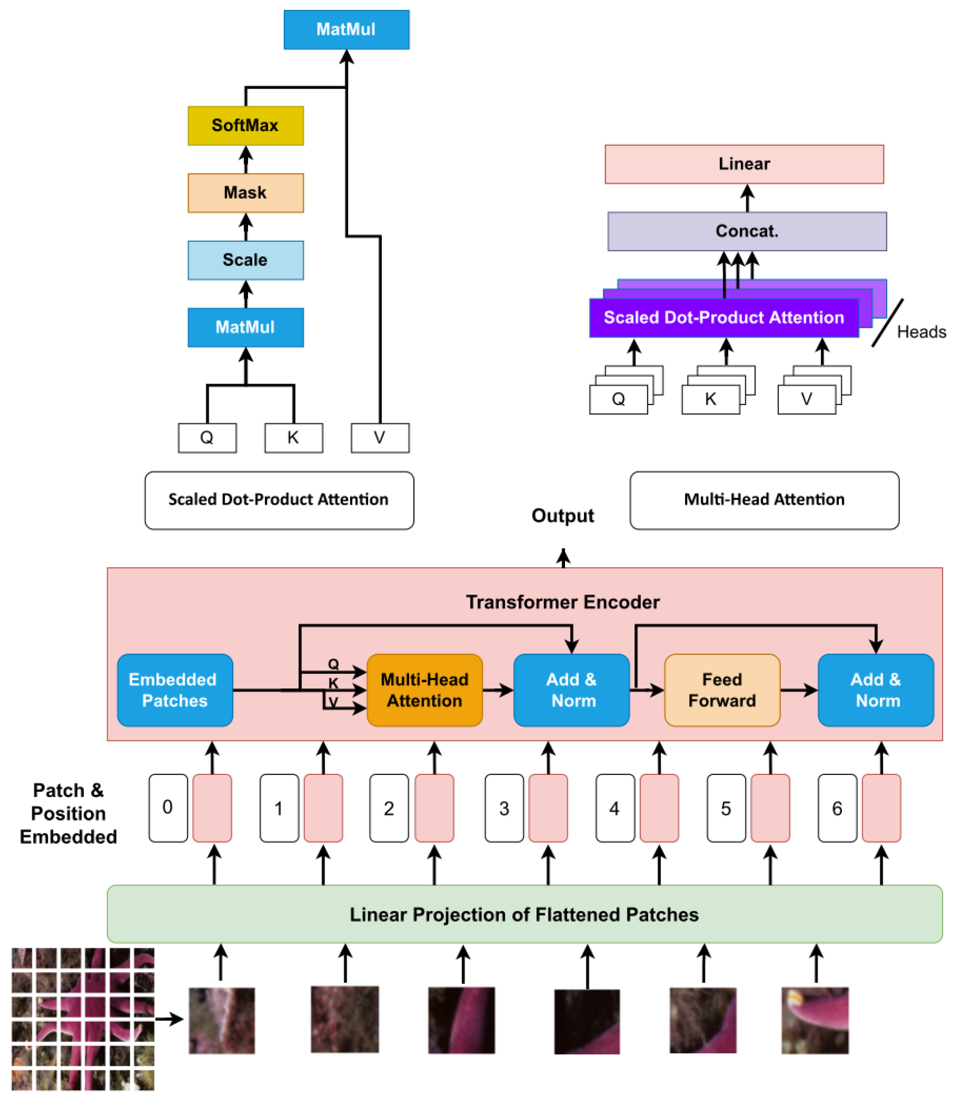 Vision Transformers in Image Restoration: A Survey