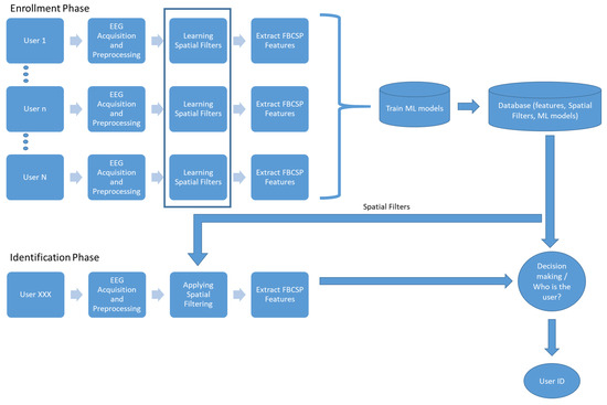Human Recognition Using Deep Neural Networks and Spatial Patterns of SSVEP Signals