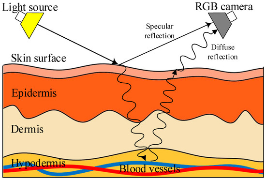 Emotion Recognition Using Different Sensors, Emotion Models, Methods ...