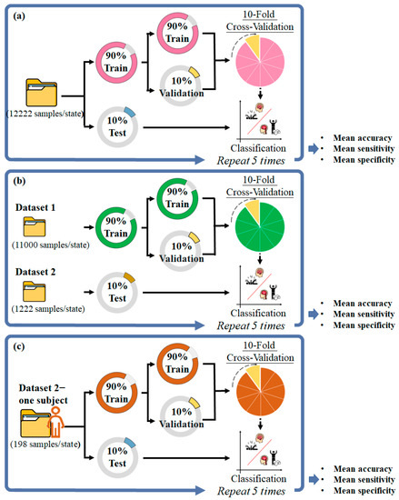 Cross-Domain Transfer of EEG to EEG or ECG Learning for CNN Classification Models