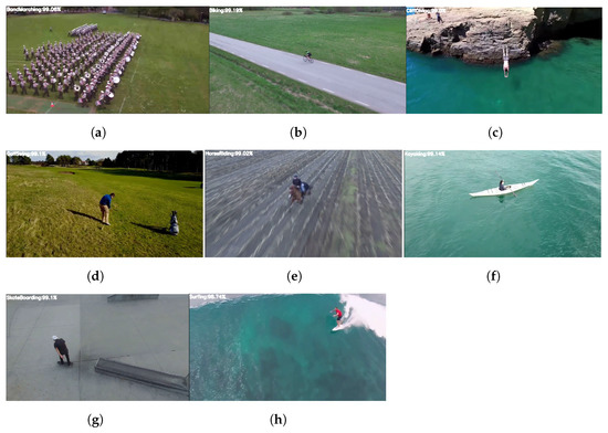 Vision-Based HAR in UAV Videos Using Histograms and Deep Learning ...