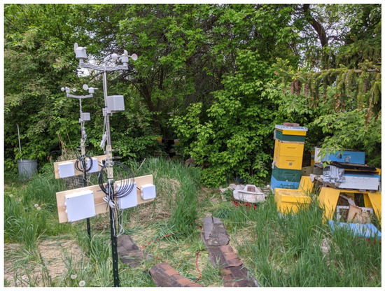 Sensors | Free Full-Text | Ambient Electromagnetic Radiation as a ...