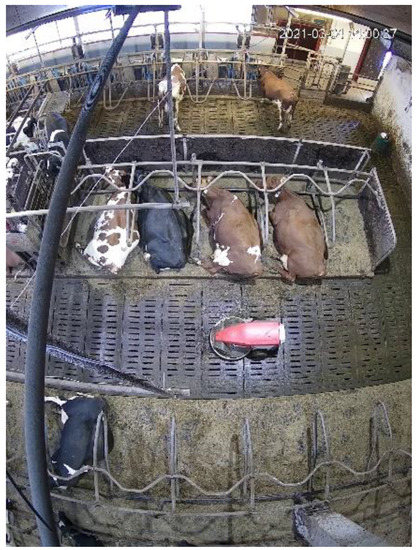 Development and Analysis of a CNN- and Transfer-Learning-Based ...